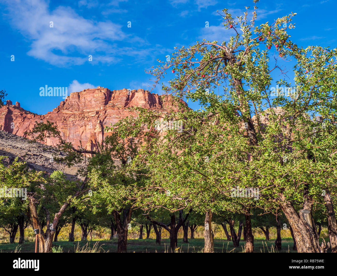 Fruita campground capitol reef national hi-res stock photography and ...