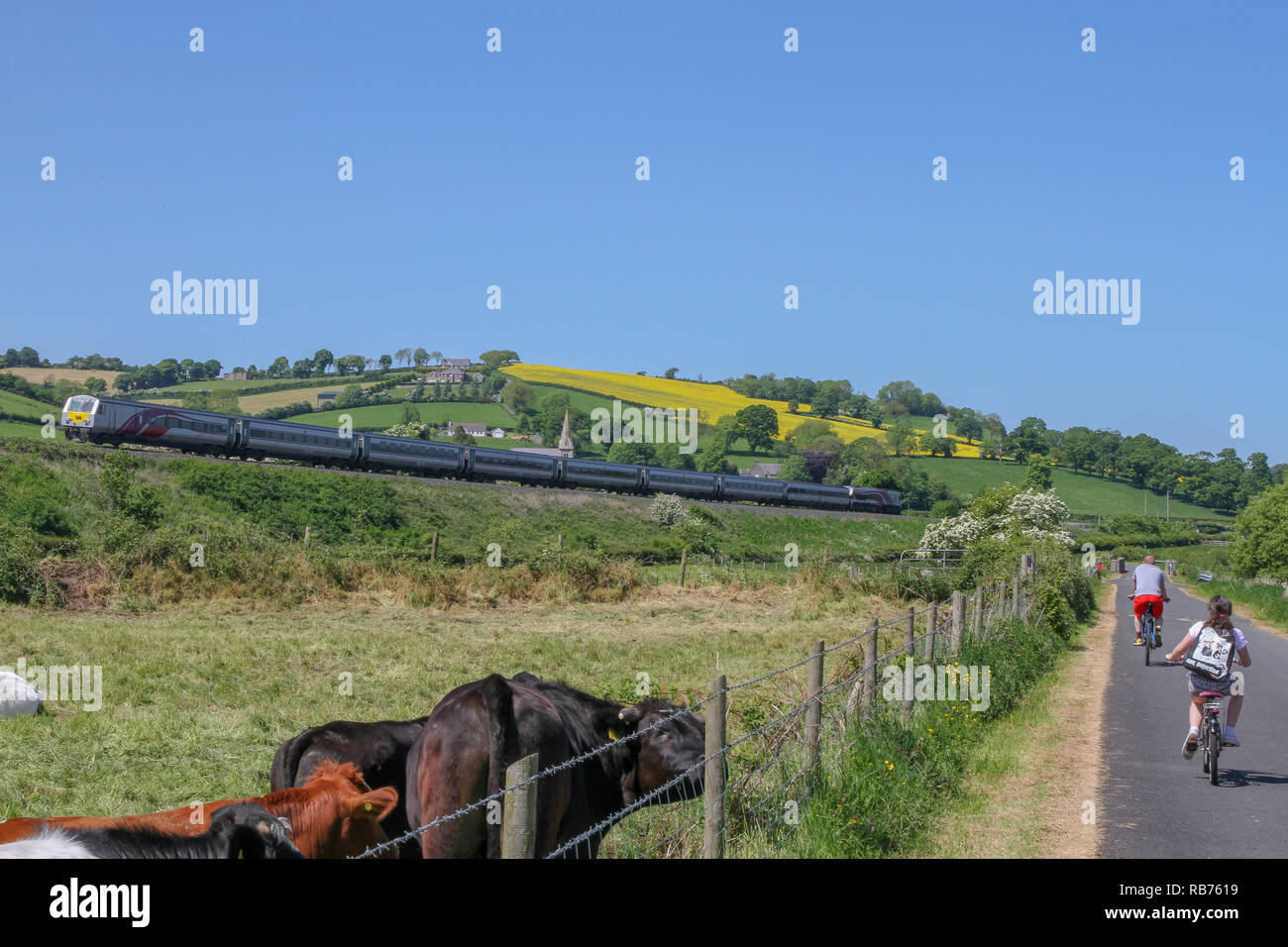 Passenger train irish countryside hi-res stock photography and images ...