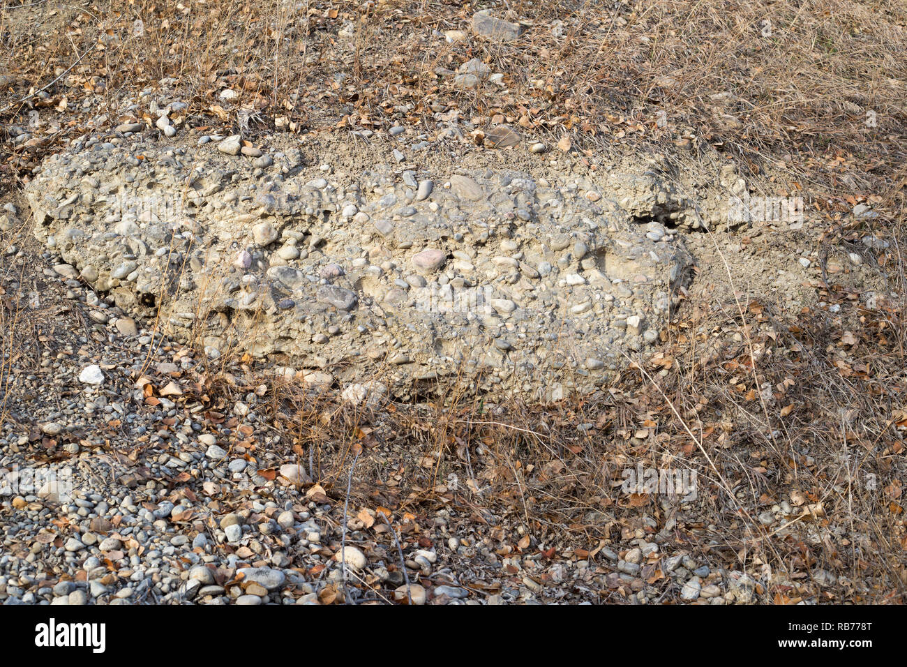 The great plains calgary alberta hi-res stock photography and images ...