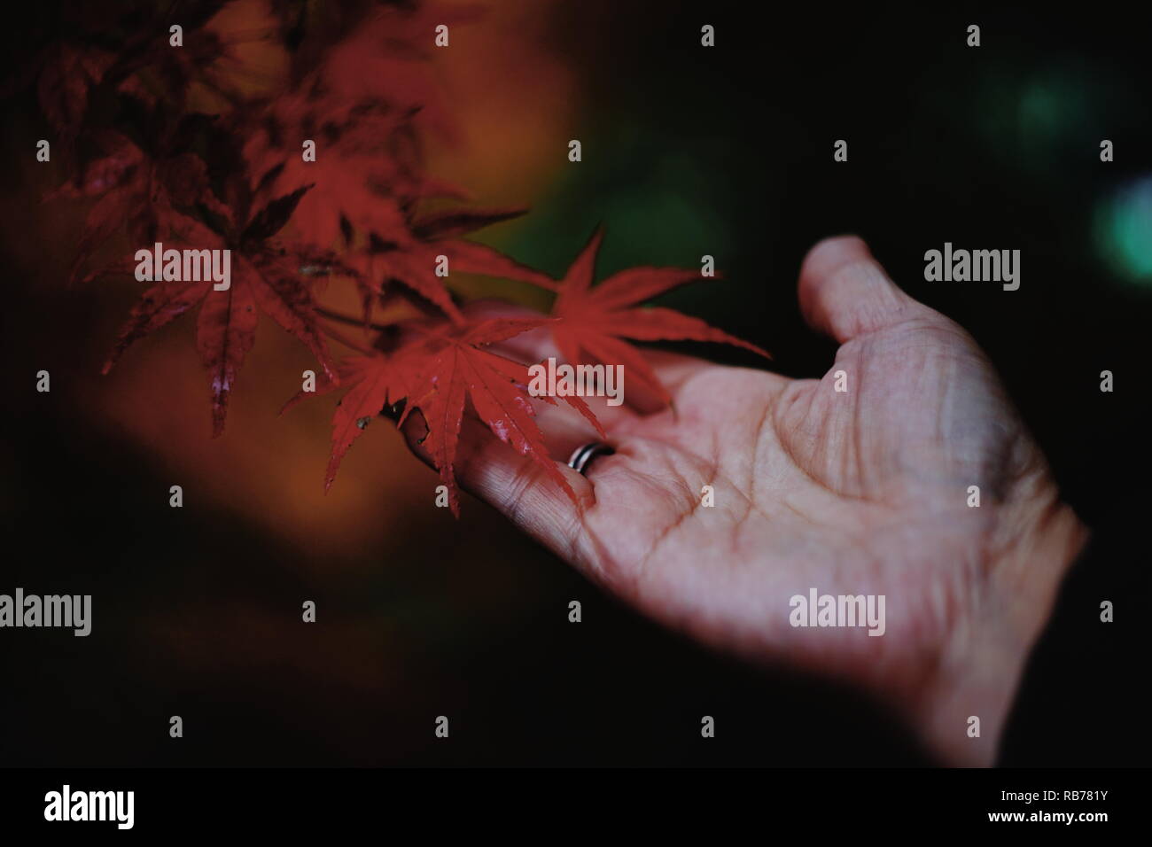 Hand plam hi-res stock photography and images - Alamy