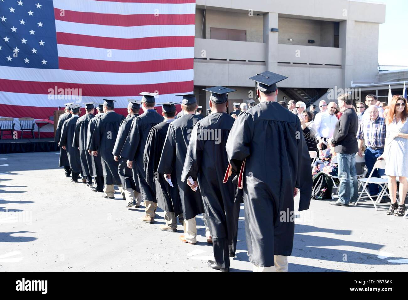 Twenty seals hi-res stock photography and images - Alamy