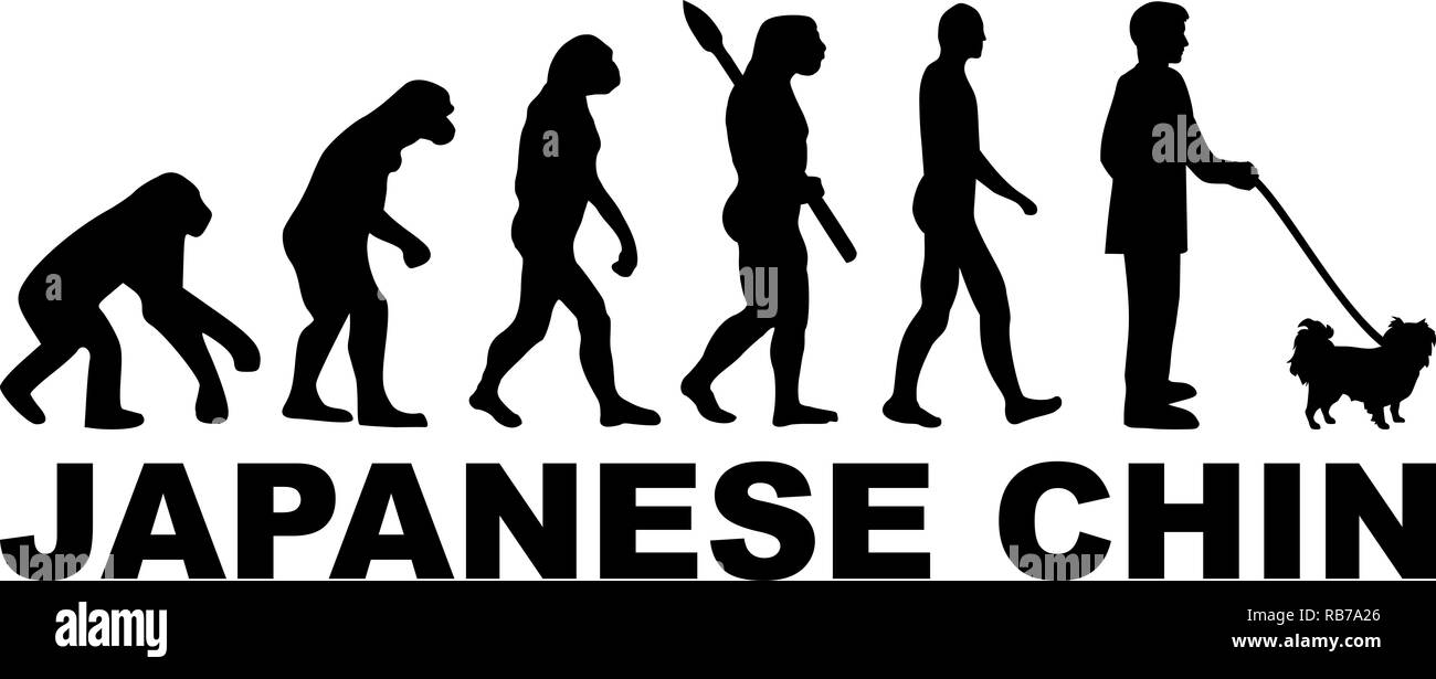 Japanese Chin evolution with word in black Stock Photo - Alamy