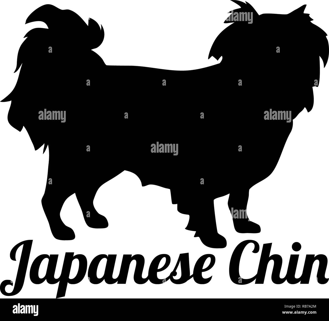 Japanese Chin silhouette real with word Stock Photo - Alamy