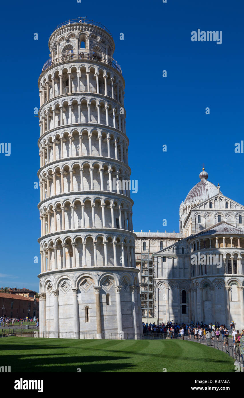 The Leaning Tower of Pisa, Tuscany, Italy Stock Photo - Alamy