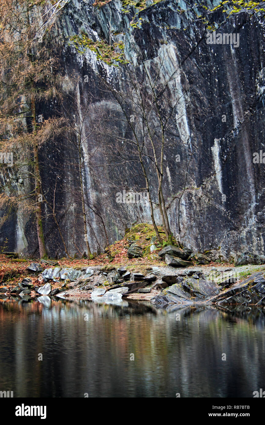 Reflections at the foot of the quarry face. Hodge Close Quarry, Lake ...