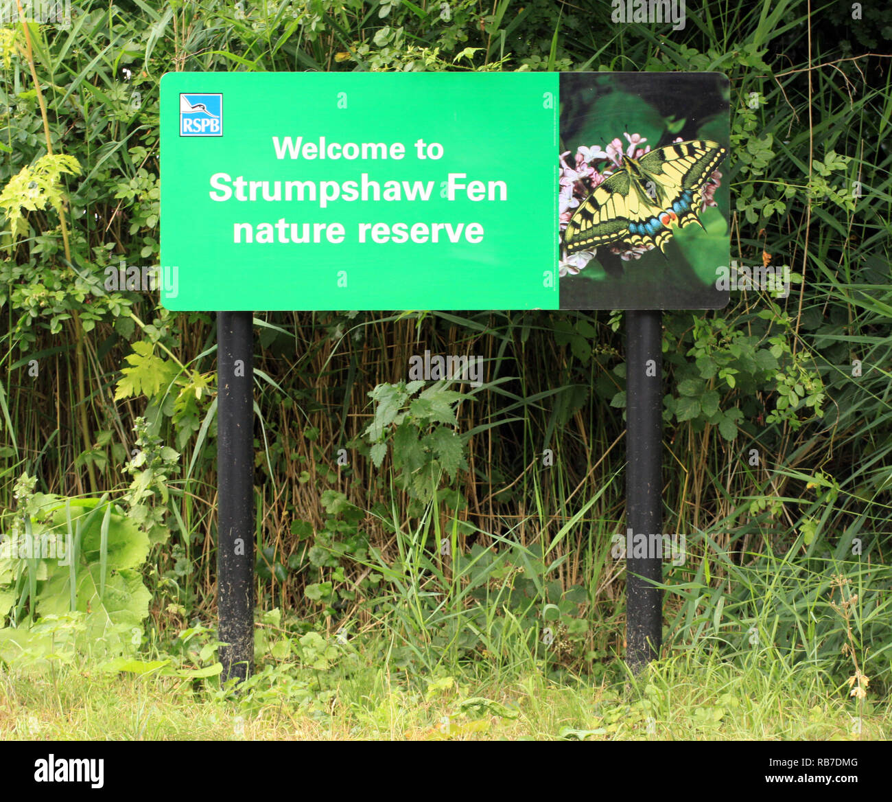 Strumpshaw Fen RSPB national nature reserve Norfolk only home of the ...