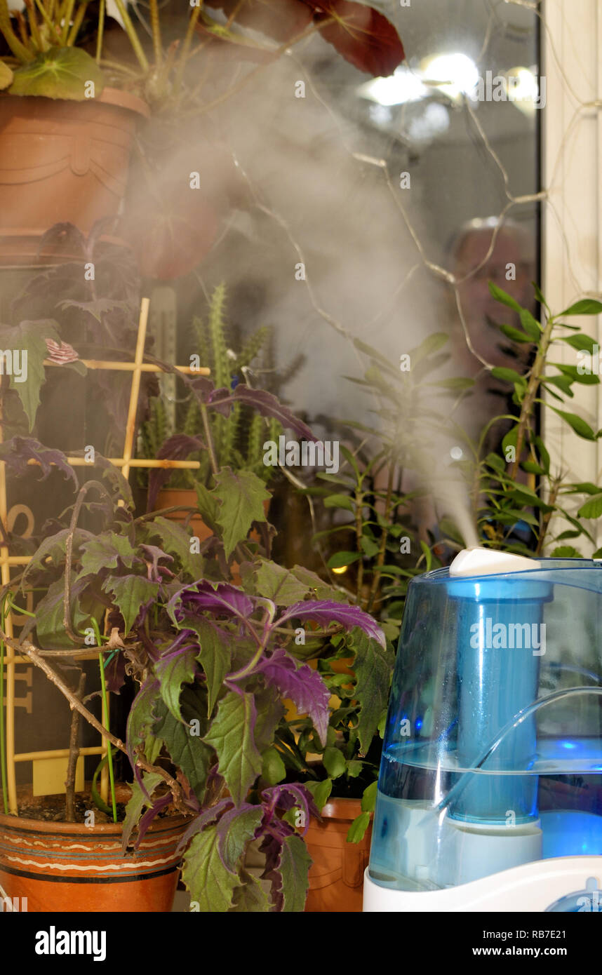 Microclimate room hi-res stock photography and images - Alamy