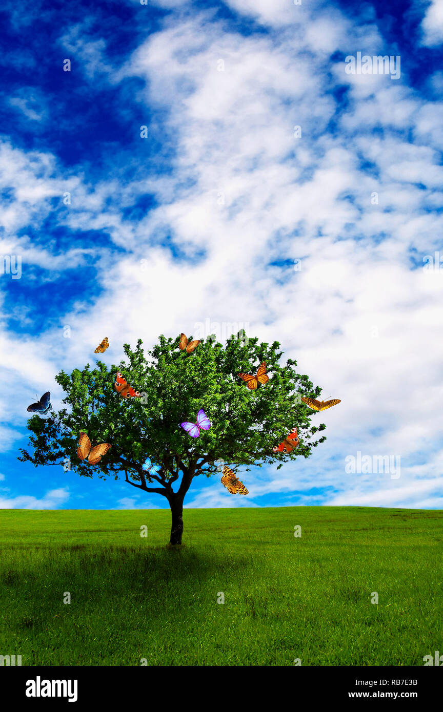 Surrounded with clean environment hi-res stock photography and images ...