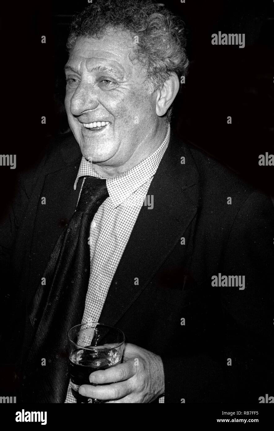 Irwin Shaw 1978 Photo By Adam Scull/PHOTOlink.net Stock Photo - Alamy