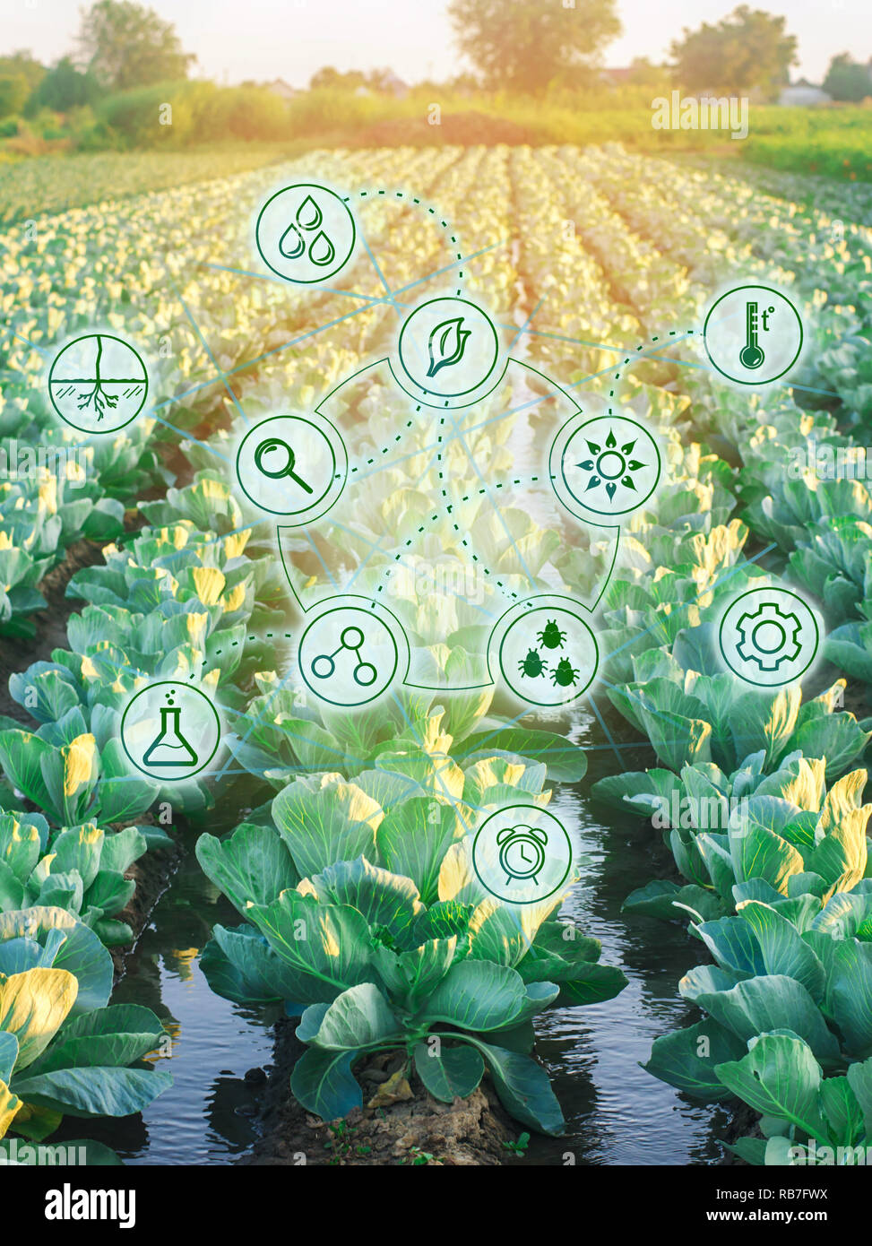 Crop analysis hi-res stock photography and images - Alamy