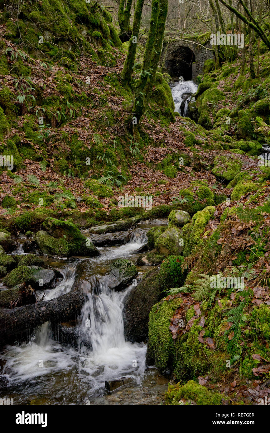 Waterfalls in Hafod Uchtryd wooded and landscaped estate, in the ...