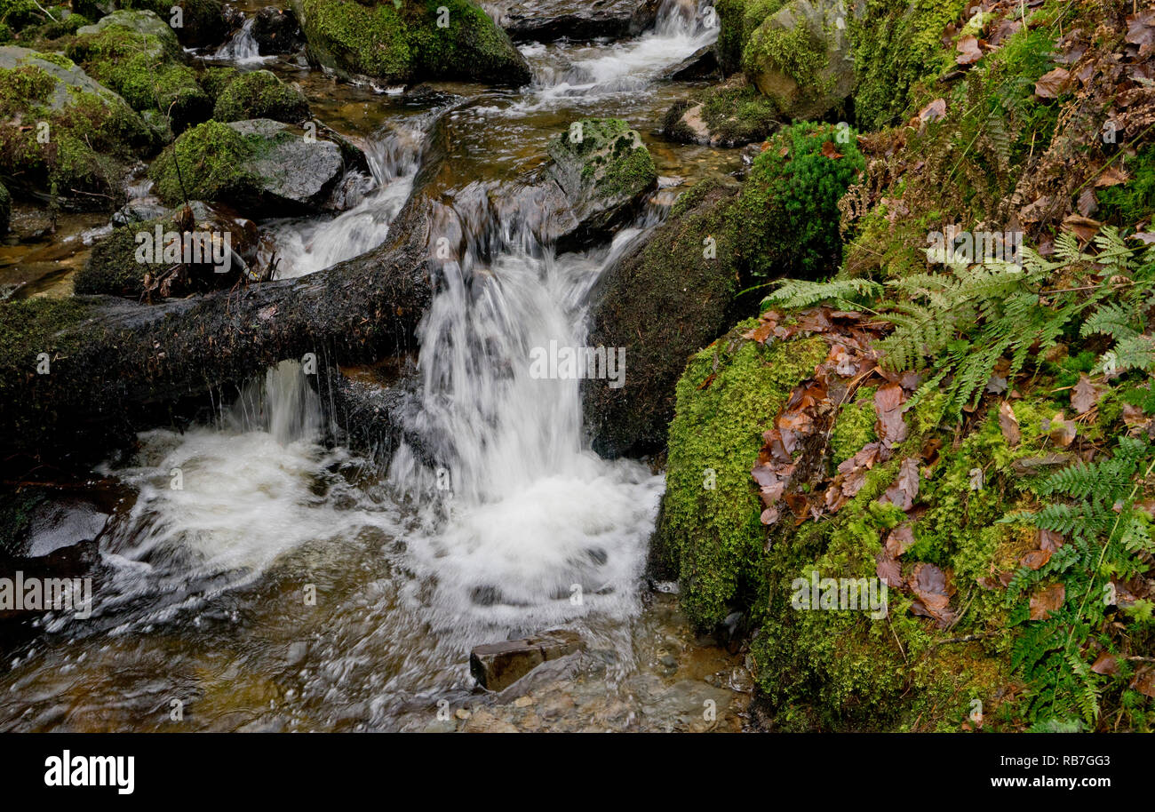 Waterfalls in Hafod Uchtryd wooded and landscaped estate, in the ...