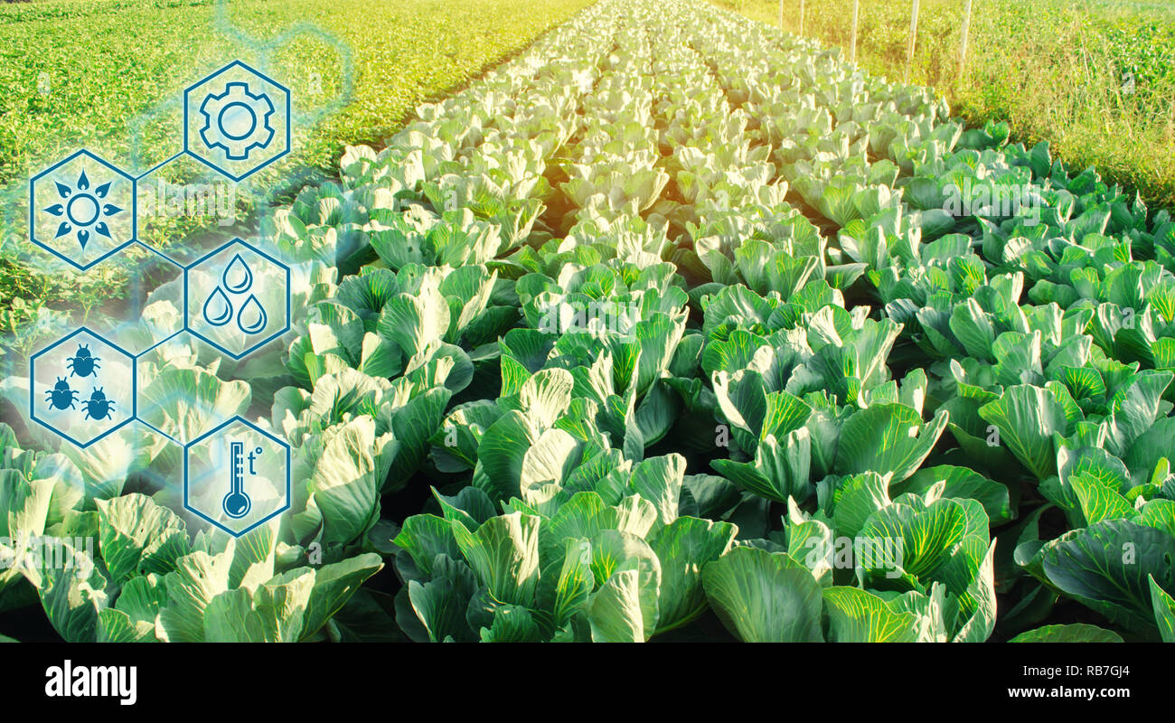 Agro Based Industries Images