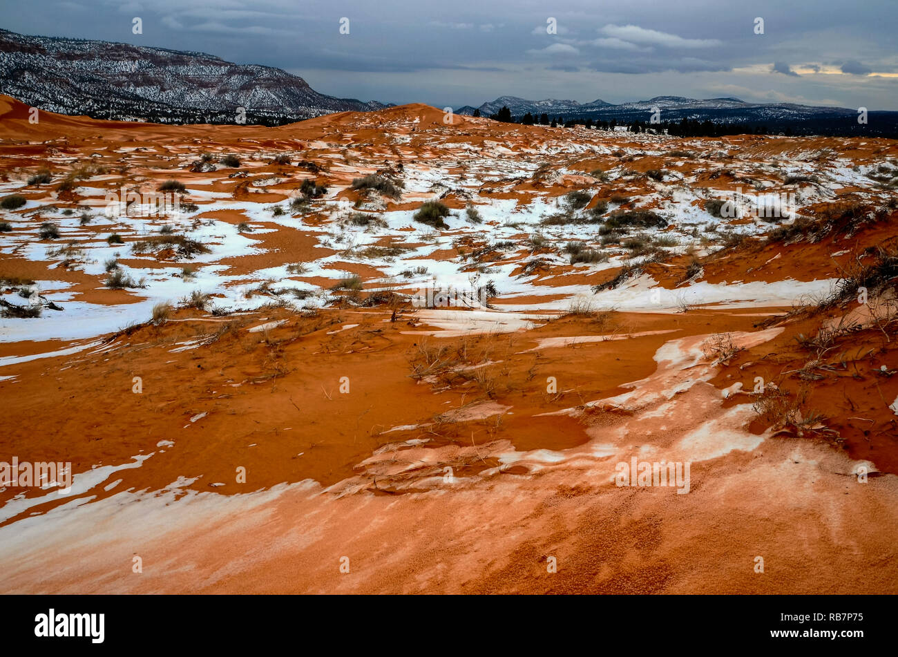 Snow white sand dunes hi-res stock photography and images - Alamy