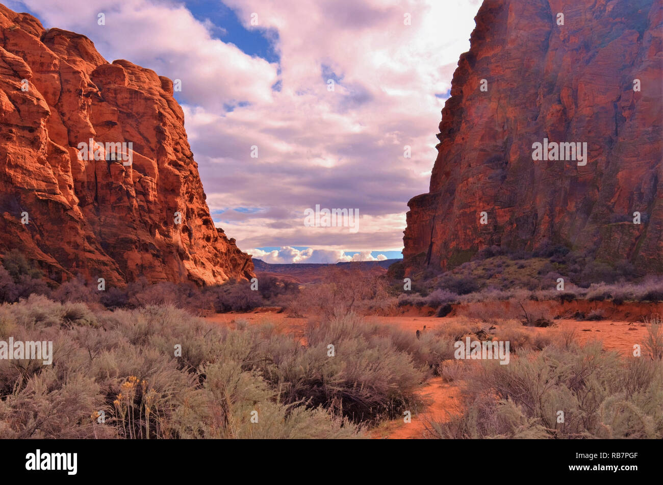View of Snow Canyon near St. George, Utah Stock Photo - Alamy