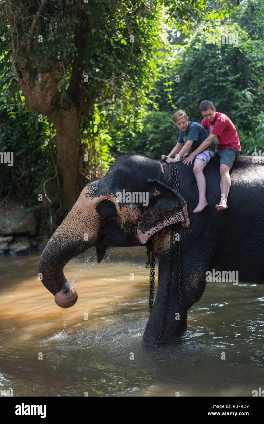 Two boys riding on an elephant Stock Photo - Alamy