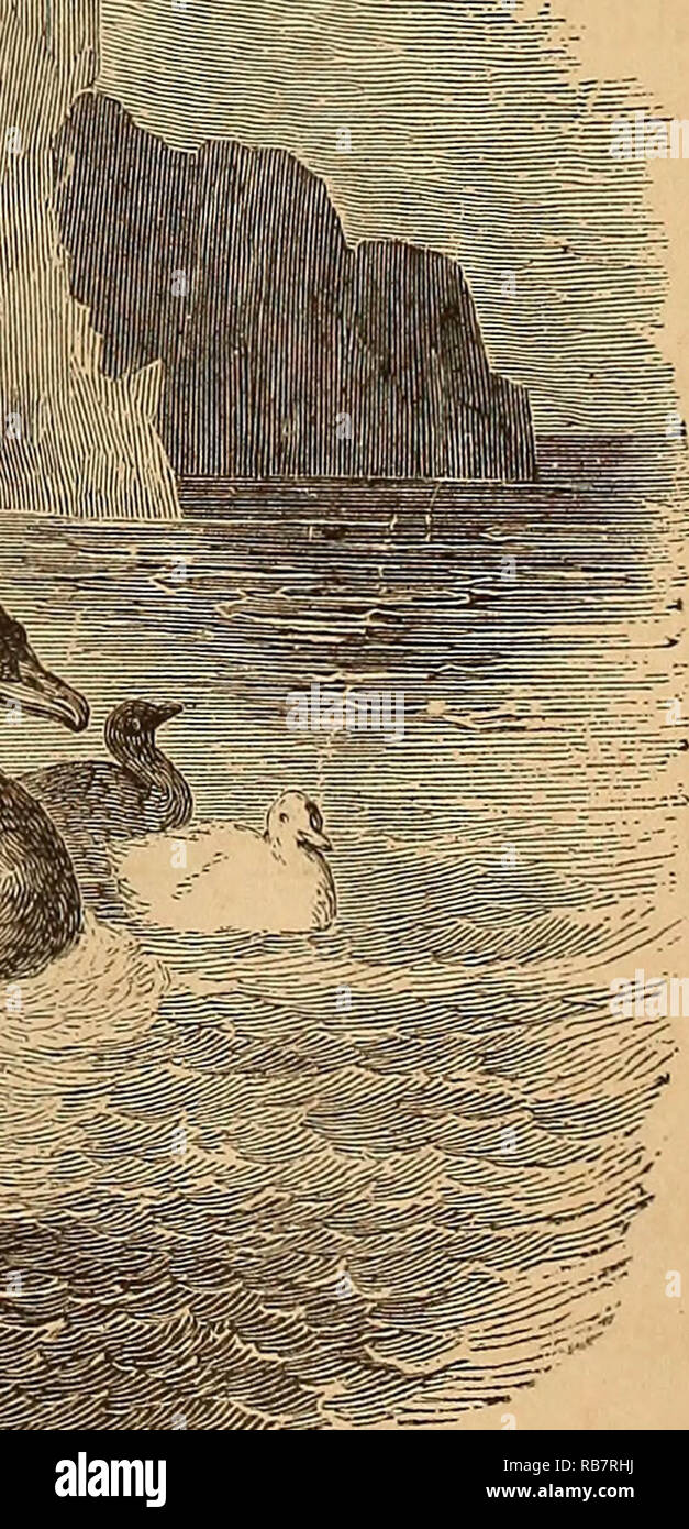 "The frozen zone and its explorers; a comprehensive record of voyages ...