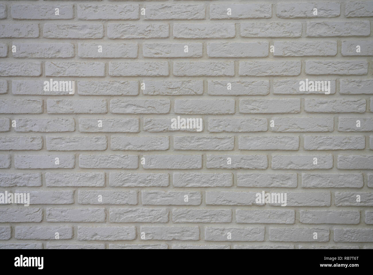 White brick wall with white bark Stock Photo - Alamy