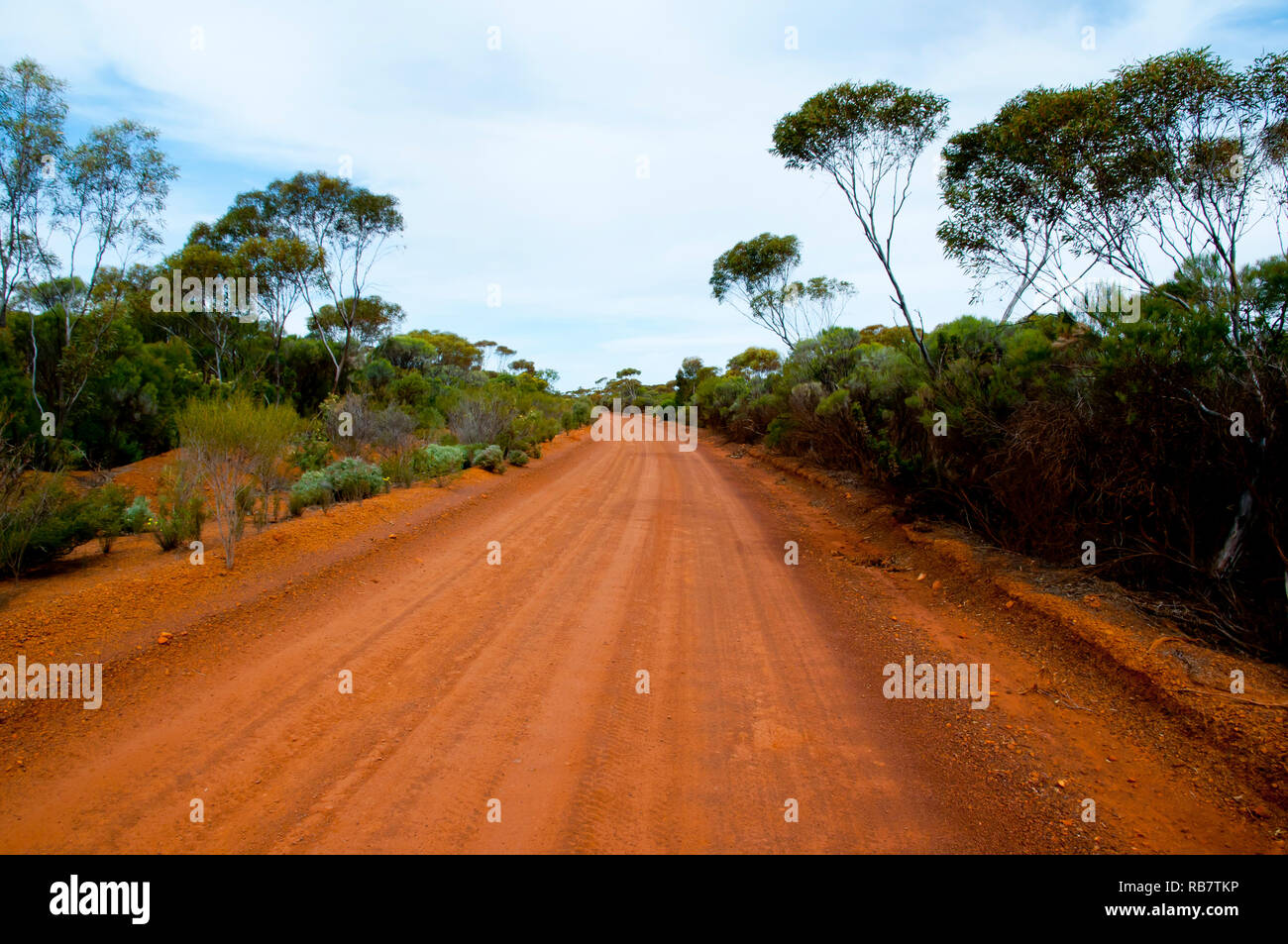 Off Road Track in the Outback Stock Photo - Alamy