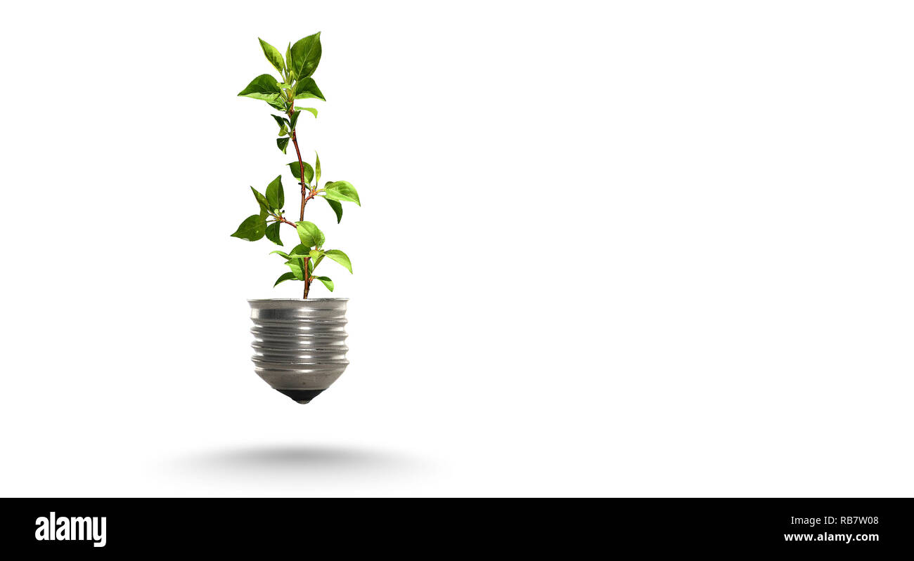 Light bulb sprout inside hi-res stock photography and images - Alamy