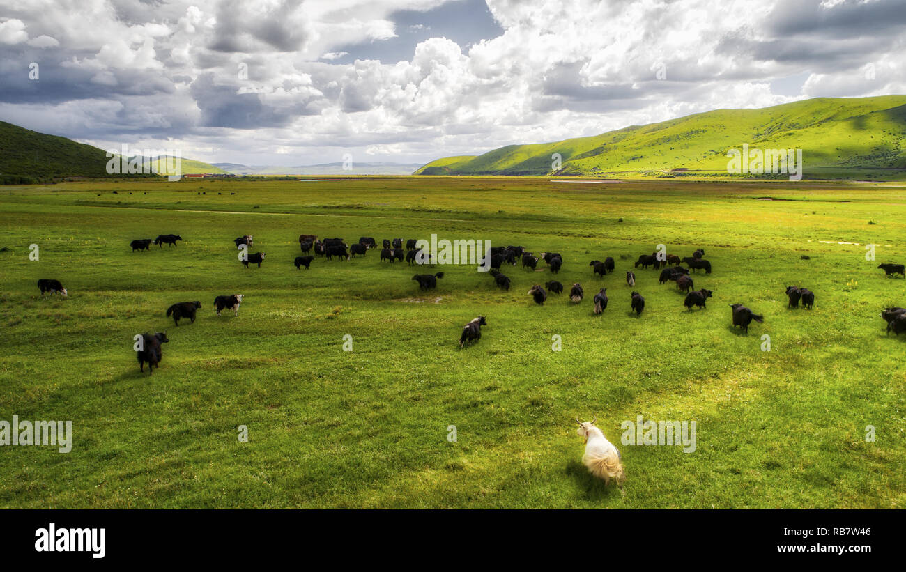 Anqu country hi-res stock photography and images - Alamy