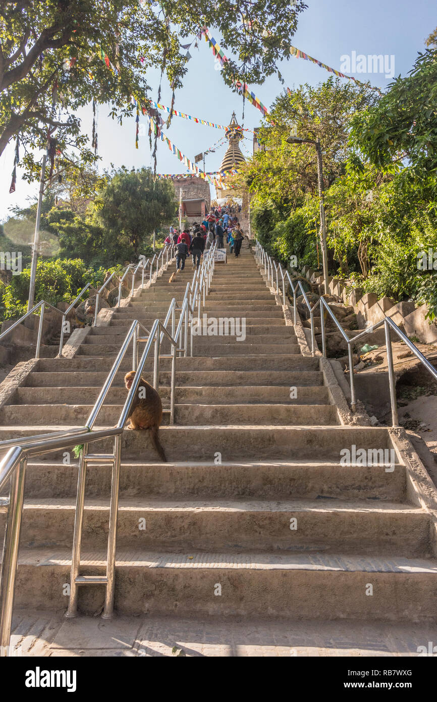 Steep temple steps hi-res stock photography and images - Alamy