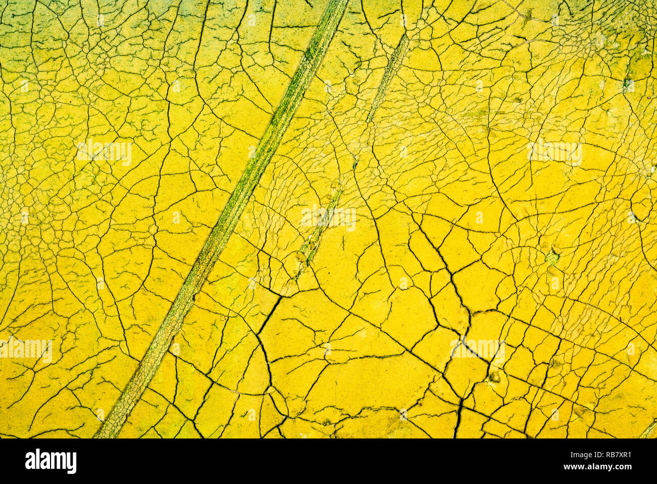 Crackle texture, abstract art texture, background texture surface Stock ...