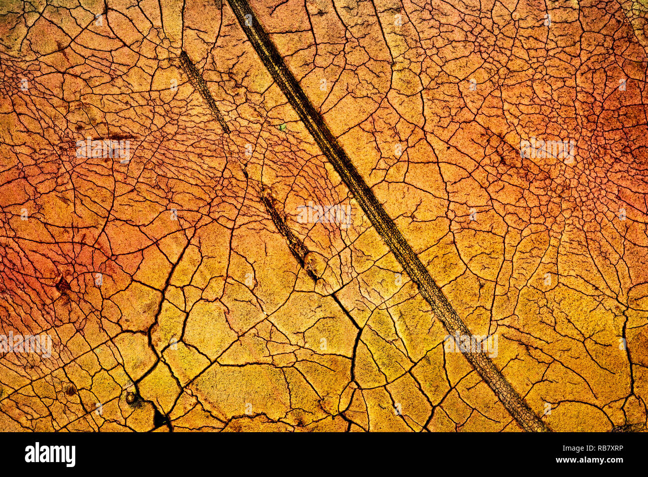 Crackle texture, abstract art texture, background texture surface Stock ...