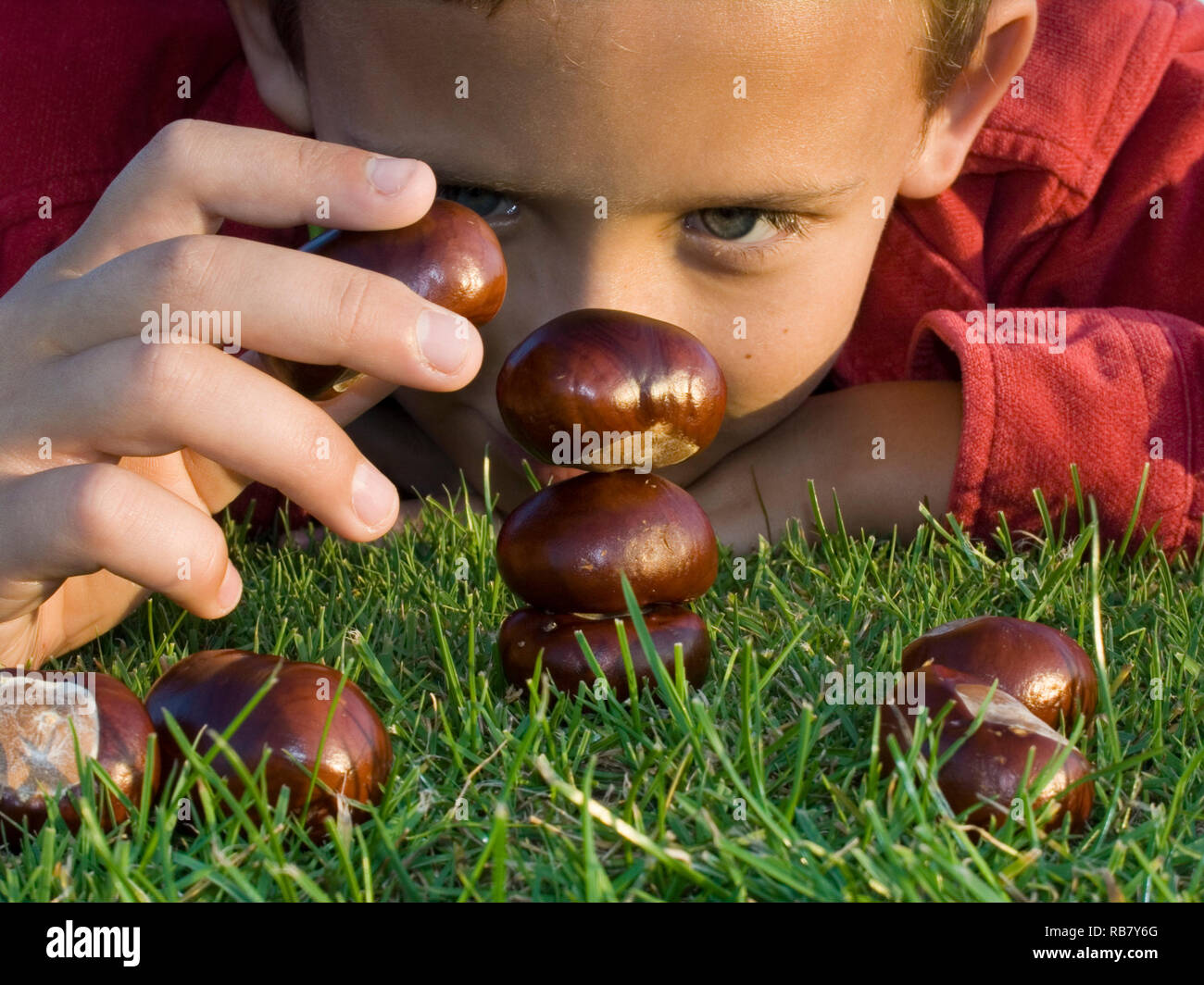 Play conkers uk hi-res stock photography and images - Alamy