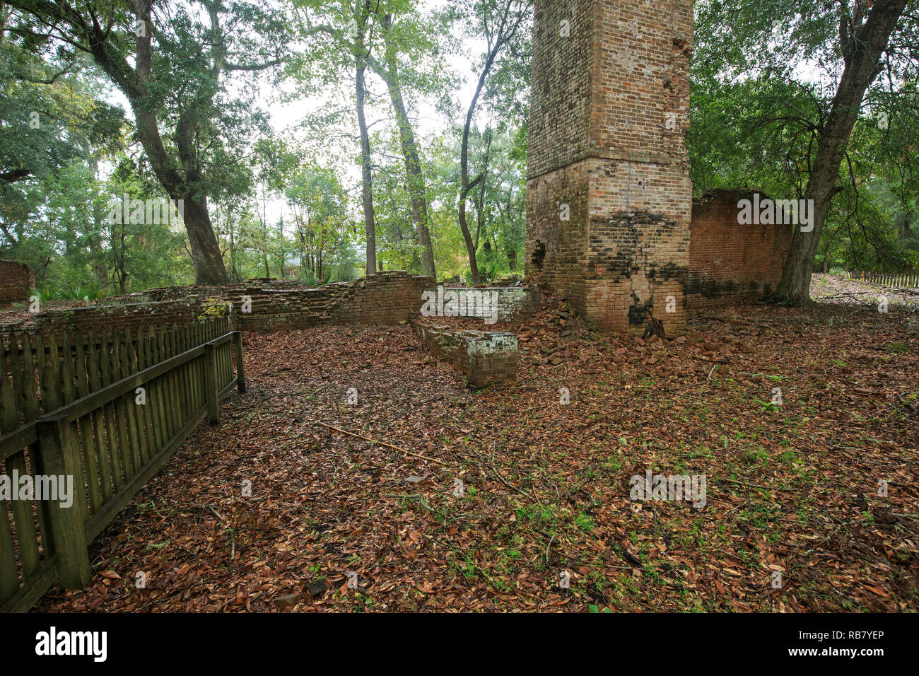 Tchefuncte state park hi-res stock photography and images - Alamy