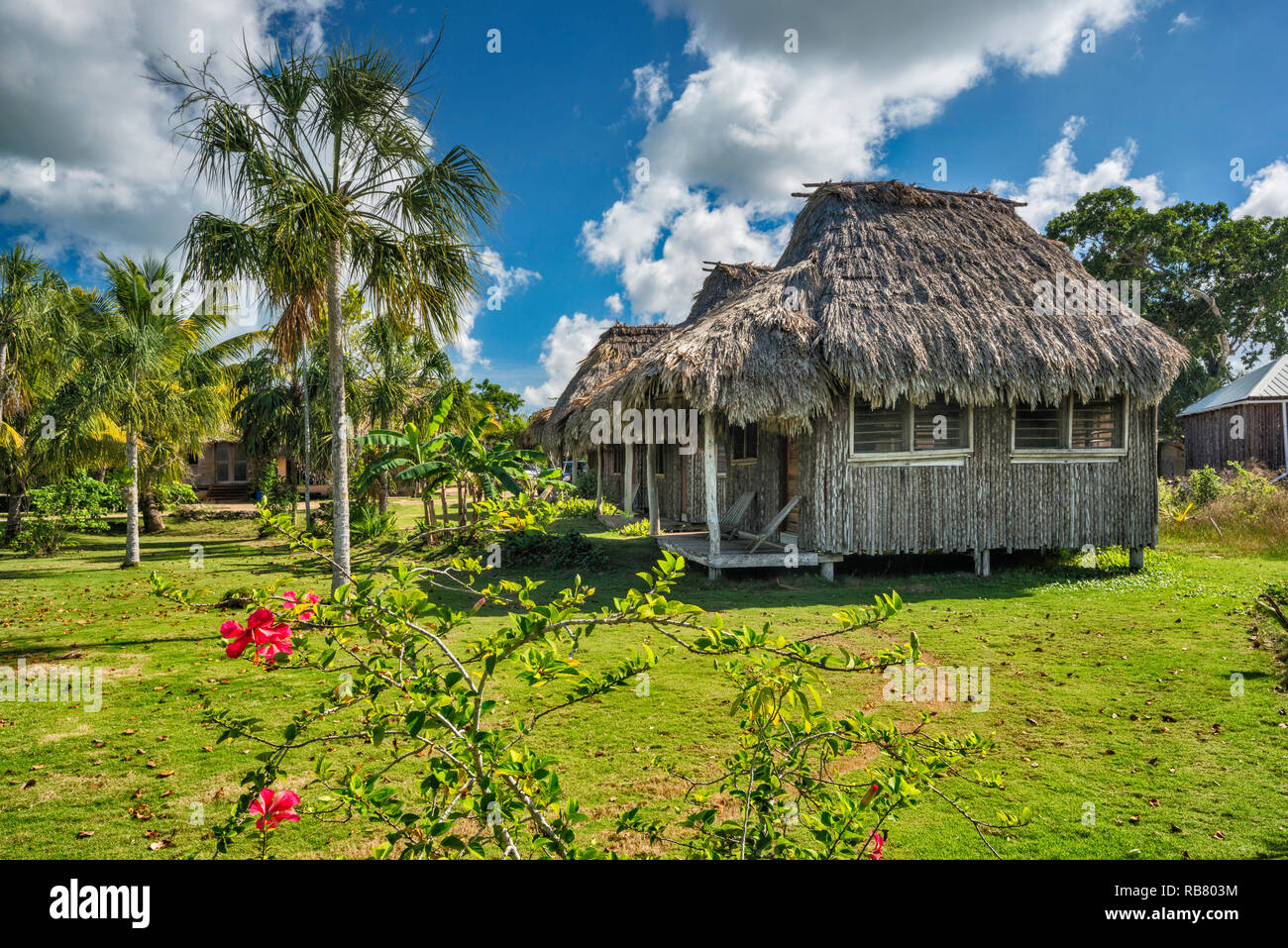 Cabanas, huts with thatched roofs, at Cerros Beach Resort over Corozal ...