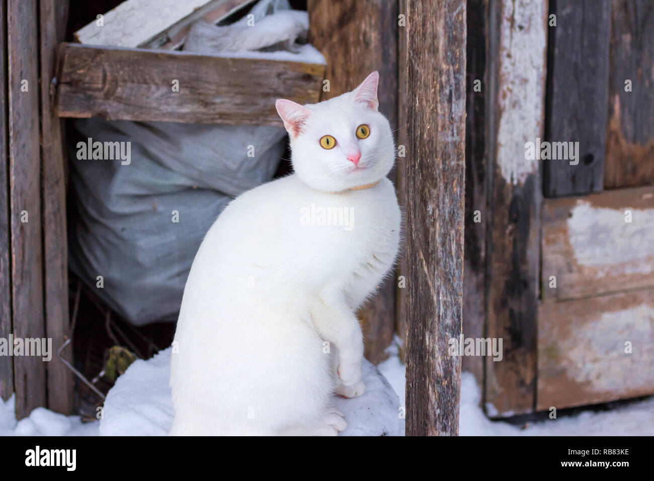 Cottage roof silhouette hi-res stock photography and images - Alamy