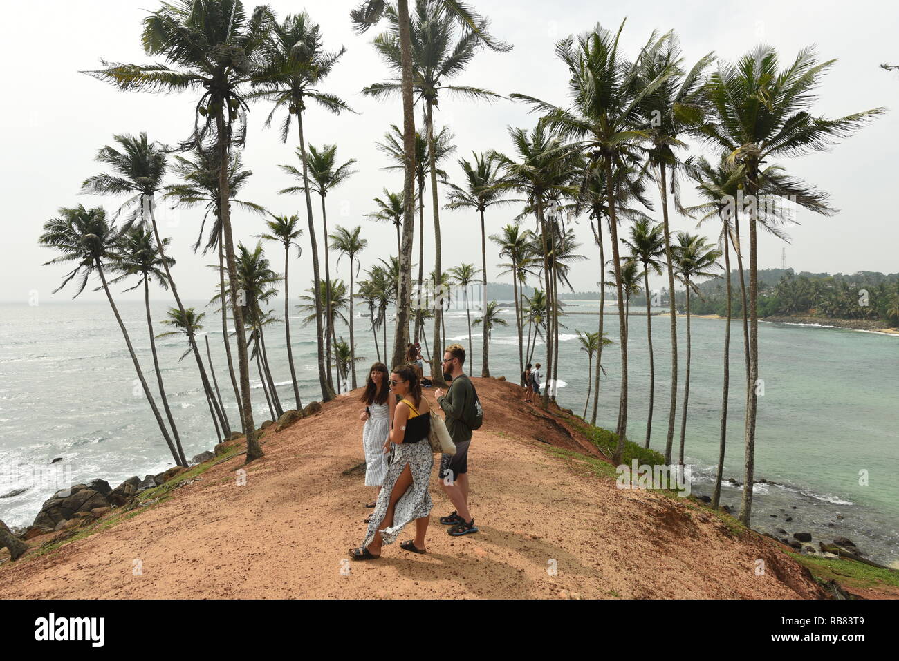 Coconut Point High Resolution Stock Photography and Images - Alamy