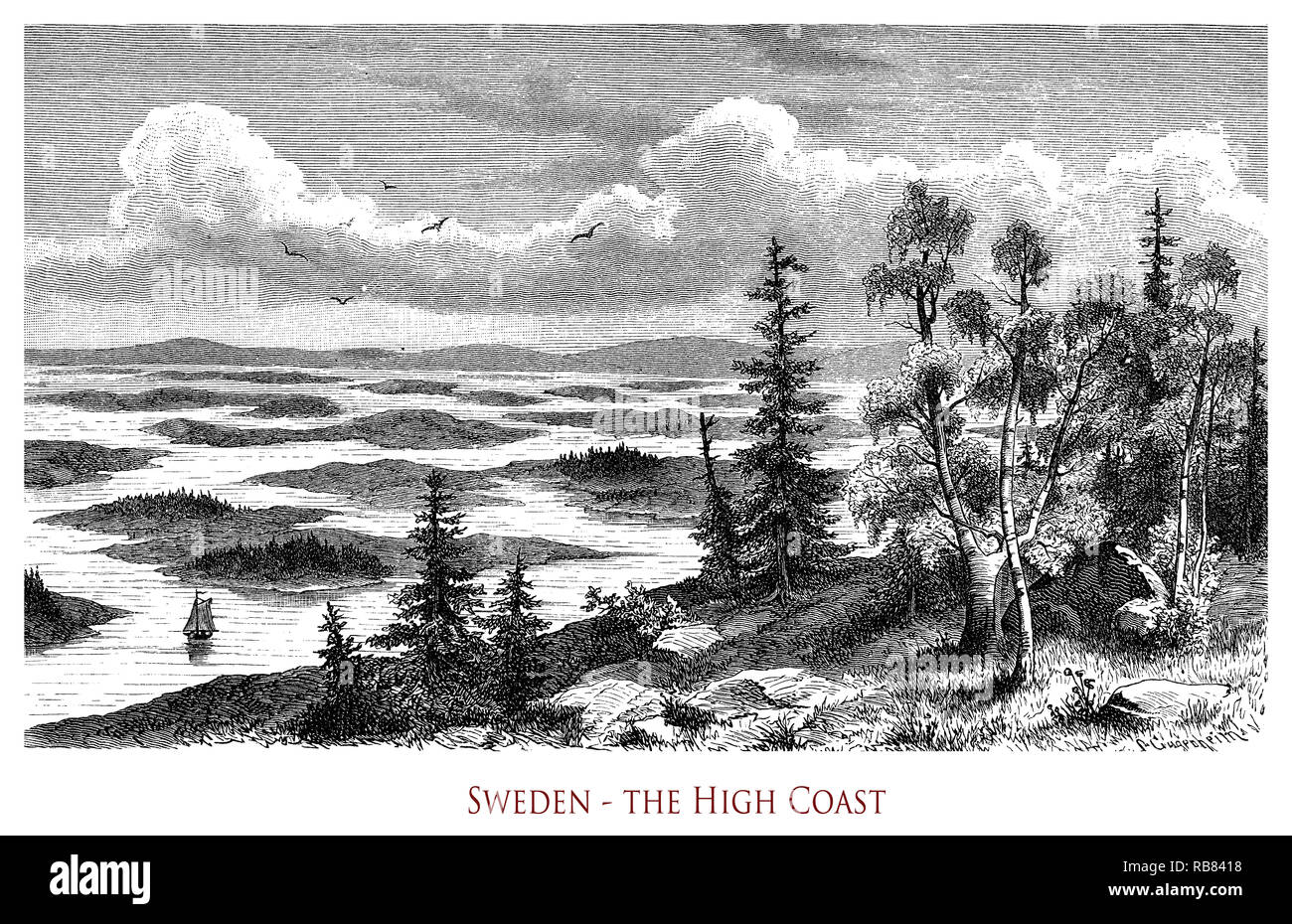 Vintage engraving of Sweden High Coast, part of the Gulf of Bothnia ...
