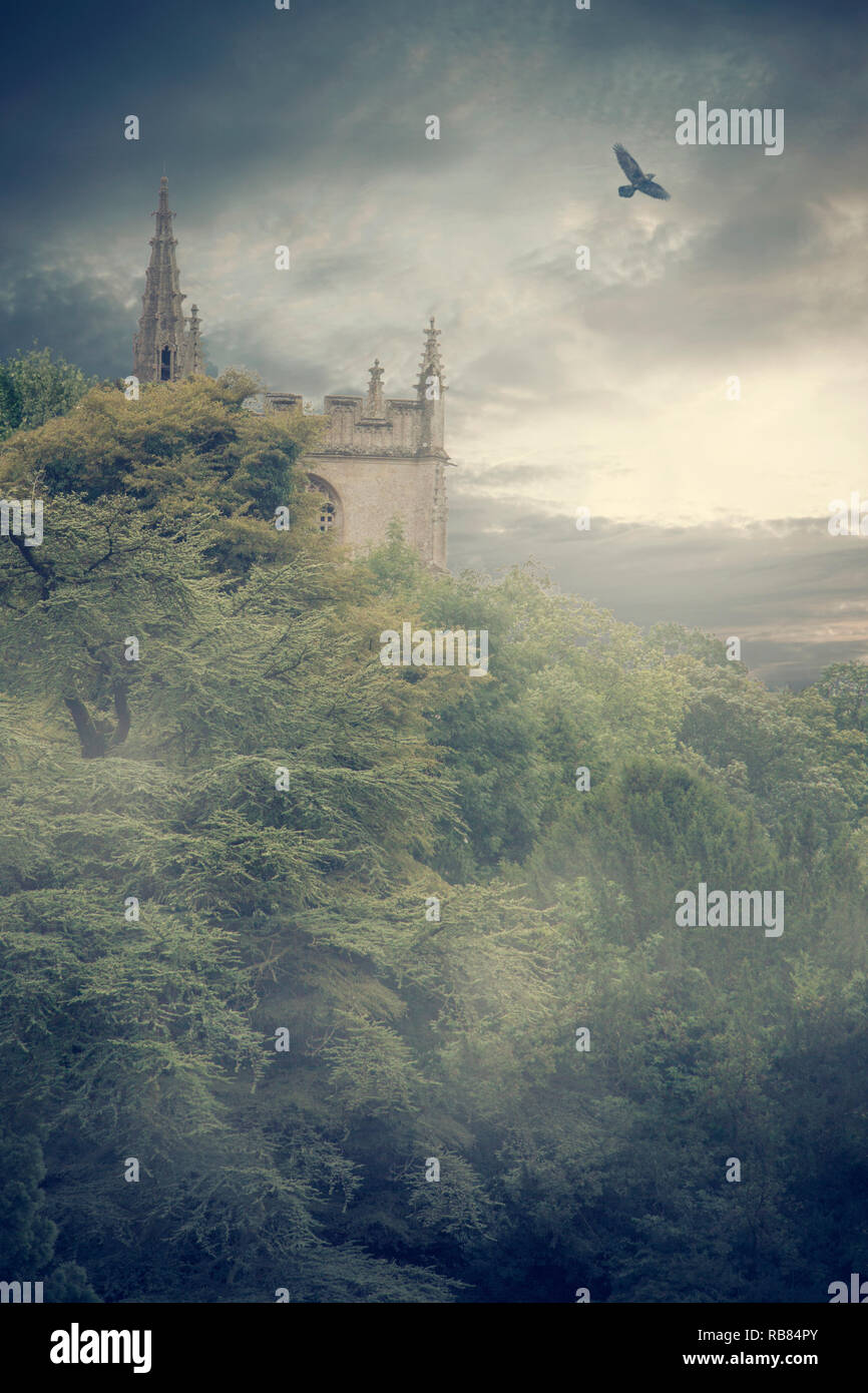 Old castle bird view hi-res stock photography and images - Alamy