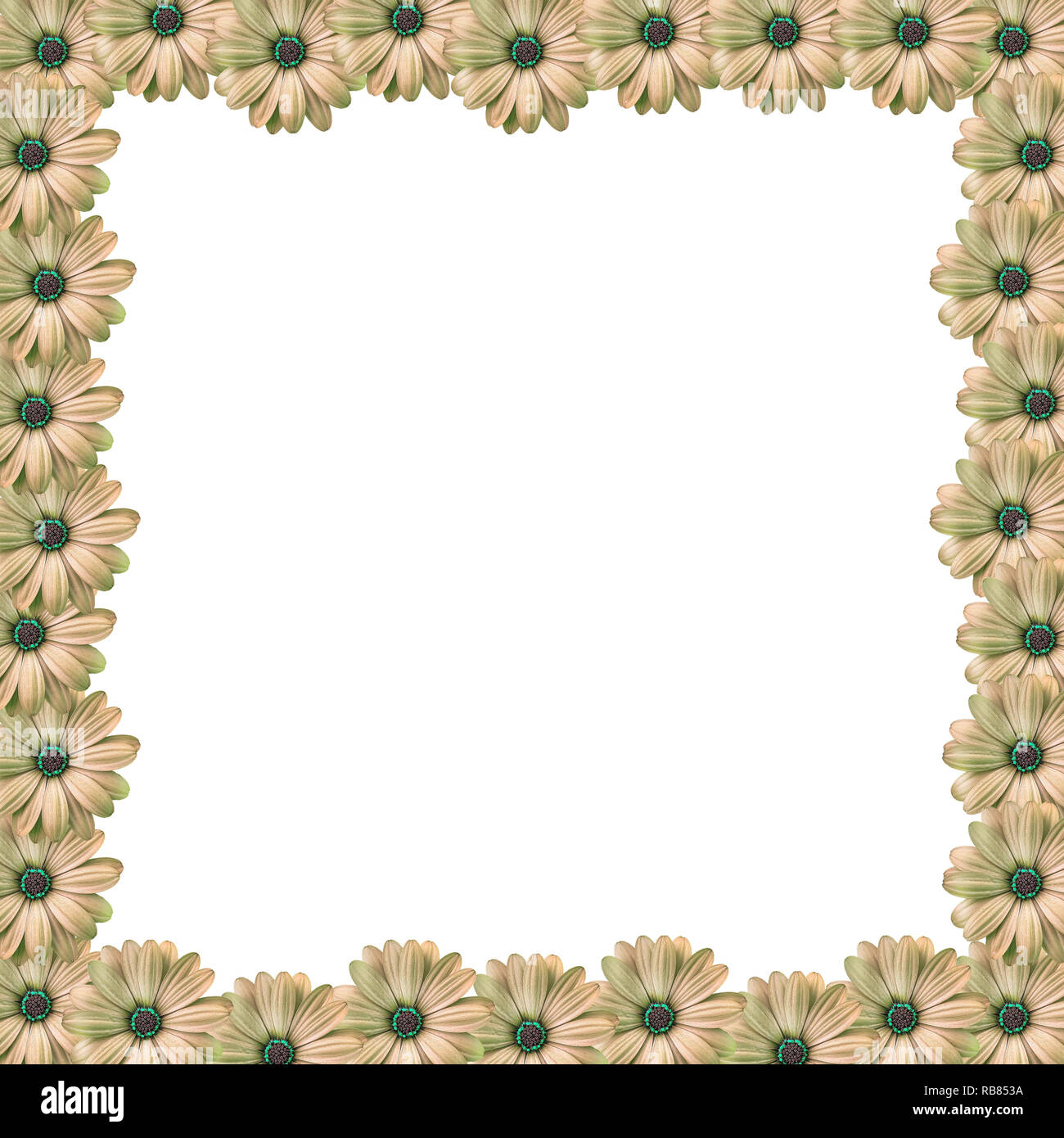 Background with gold colored daisy like flower border background frame ...