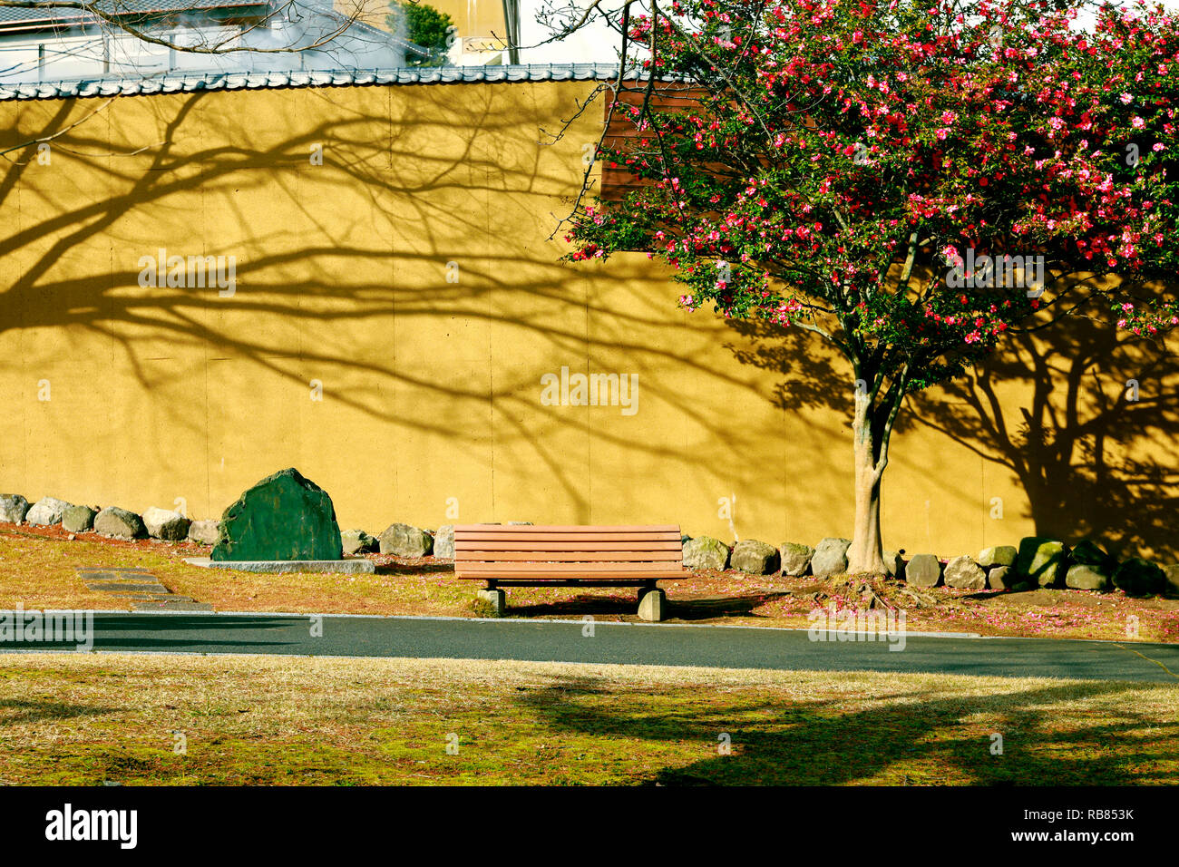 Tree beside bench hi-res stock photography and images - Alamy