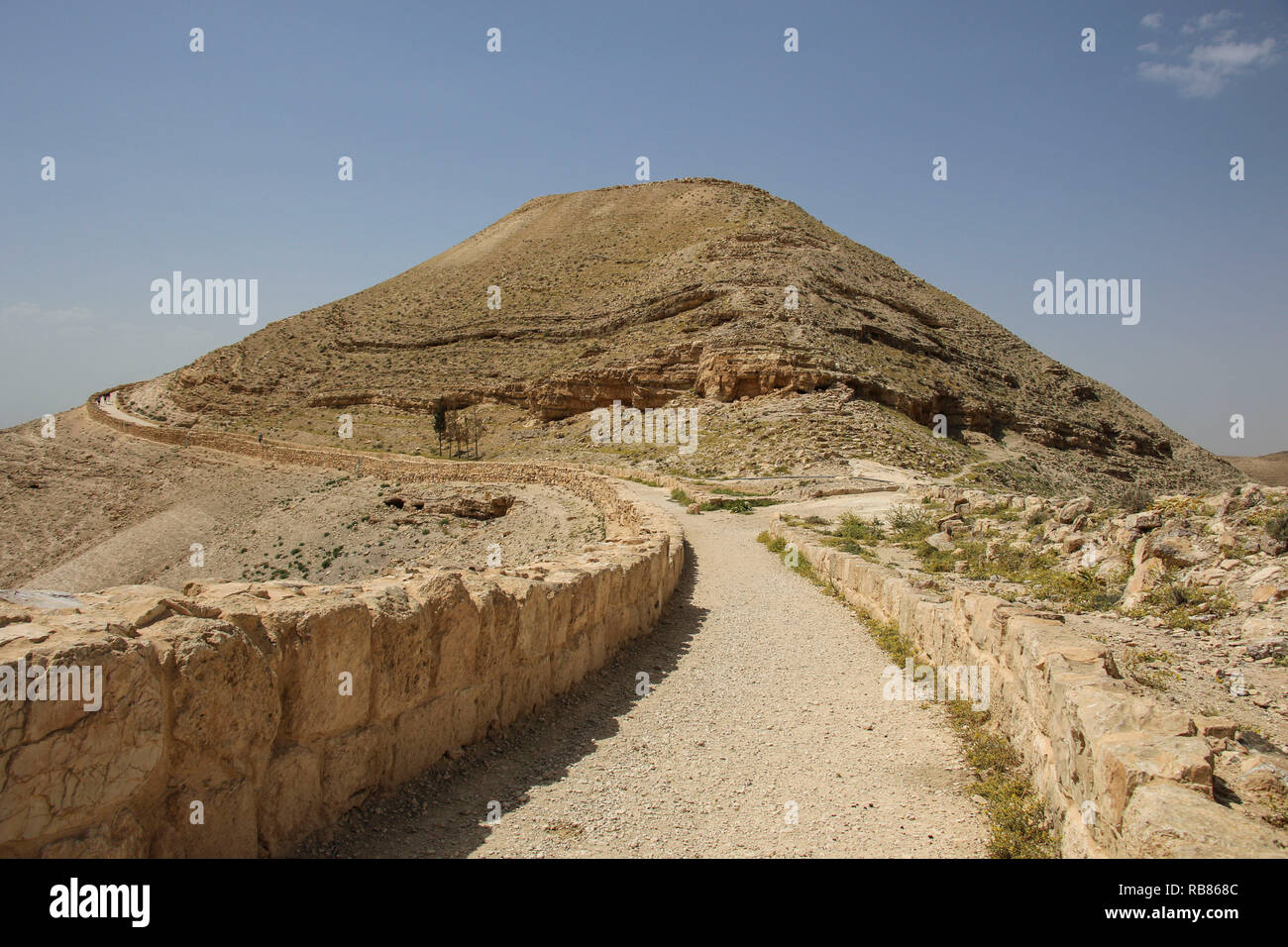 Machaerus hi-res stock photography and images - Alamy