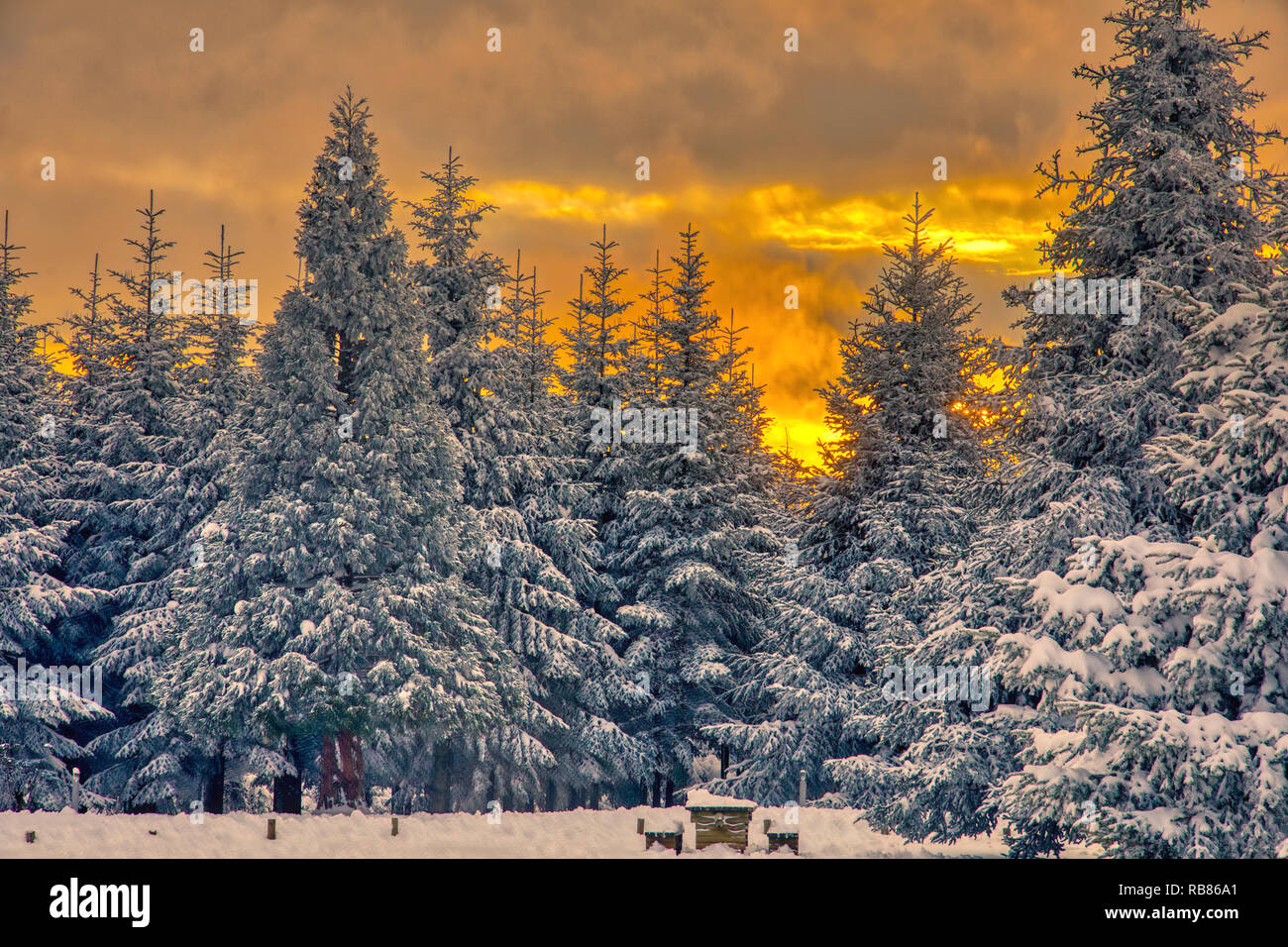 Fairytale hdr image hi-res stock photography and images - Alamy