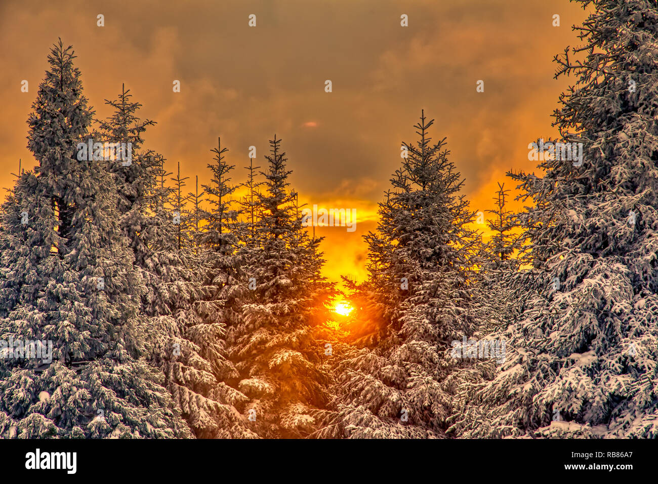 Fairytale hdr image hi-res stock photography and images - Alamy