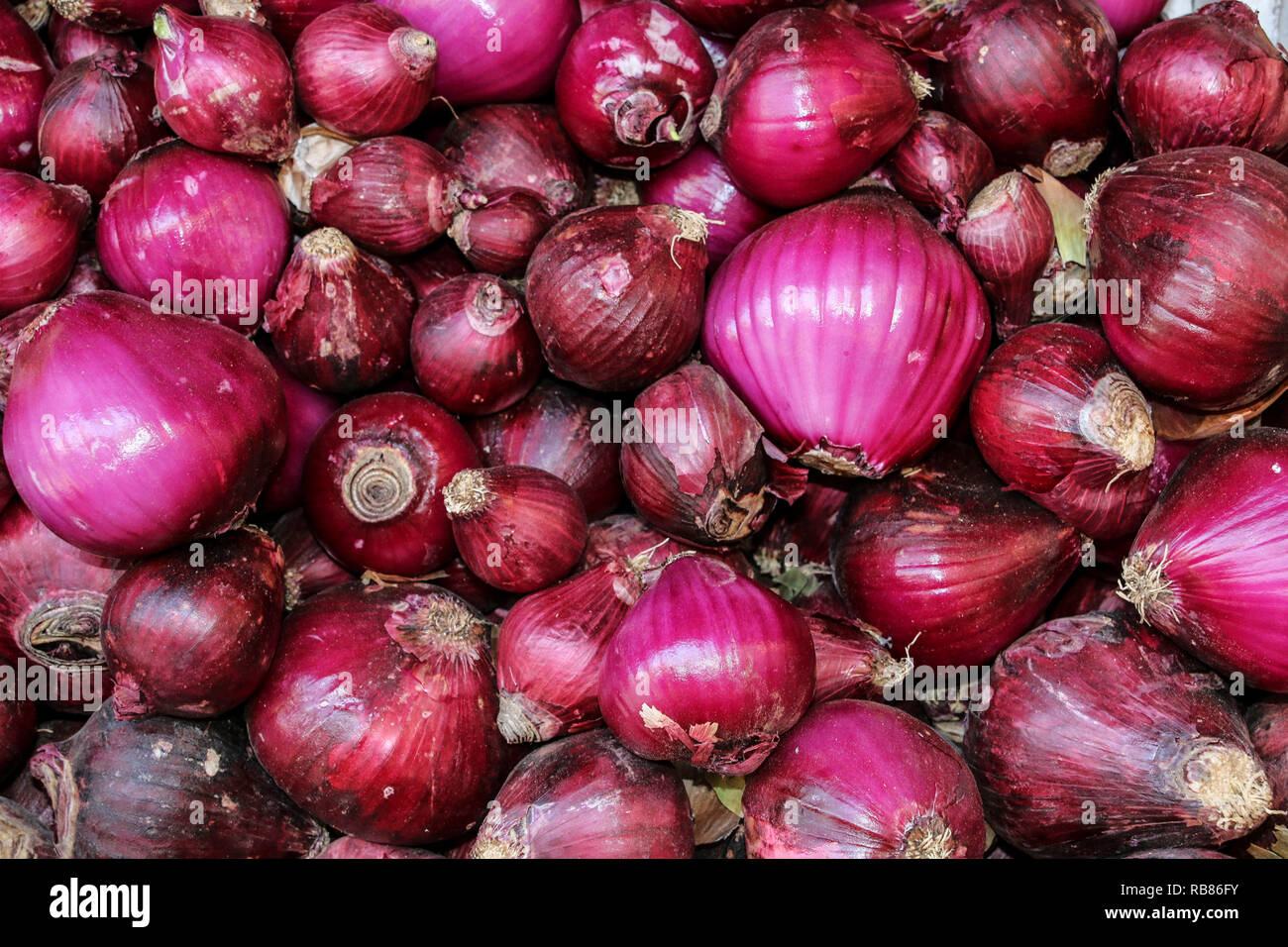 Fresh red onion in one of the markets of Amman, Jordan. Can be used as ...