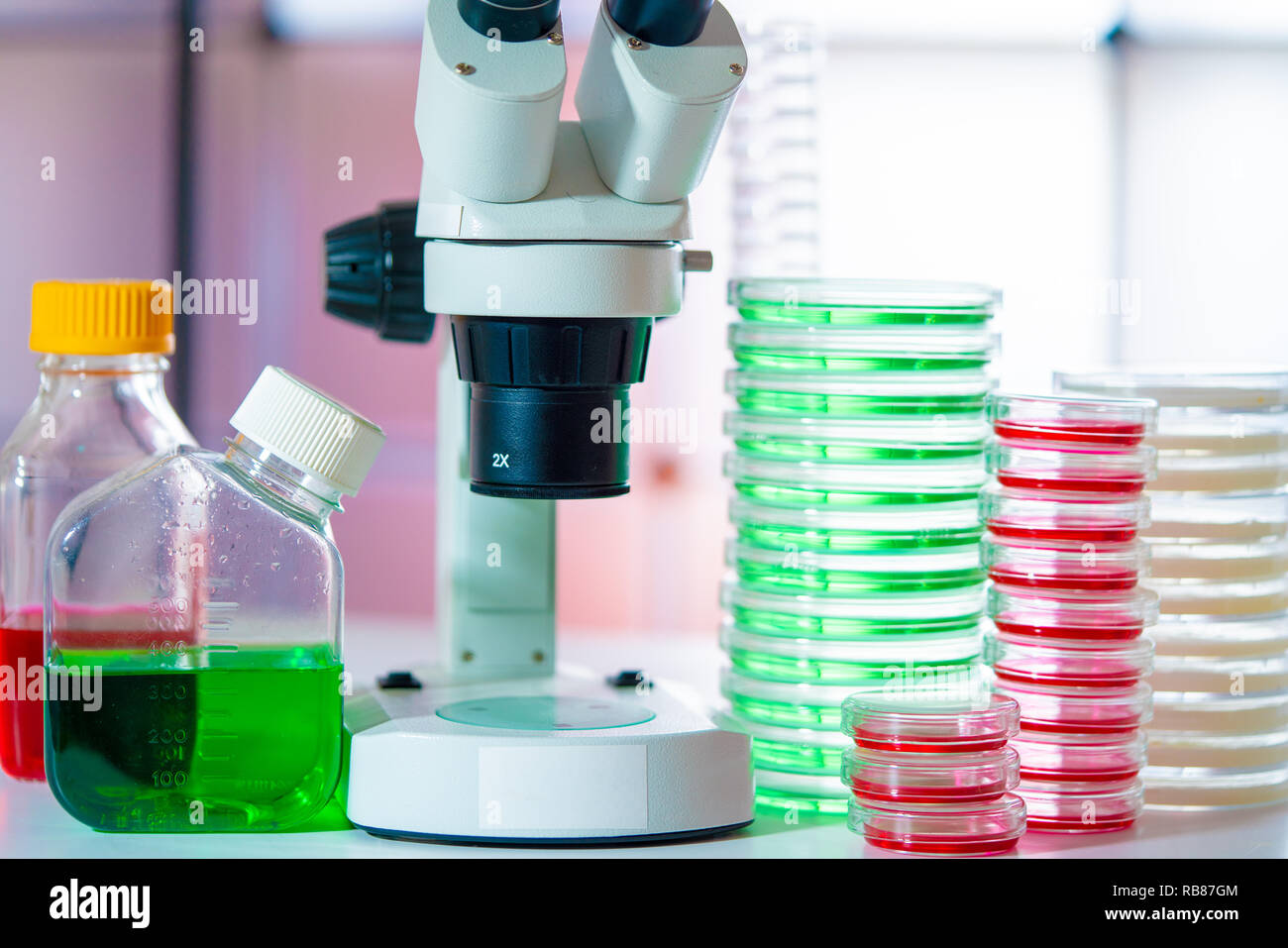 Bacteria microscope food hi-res stock photography and images - Alamy