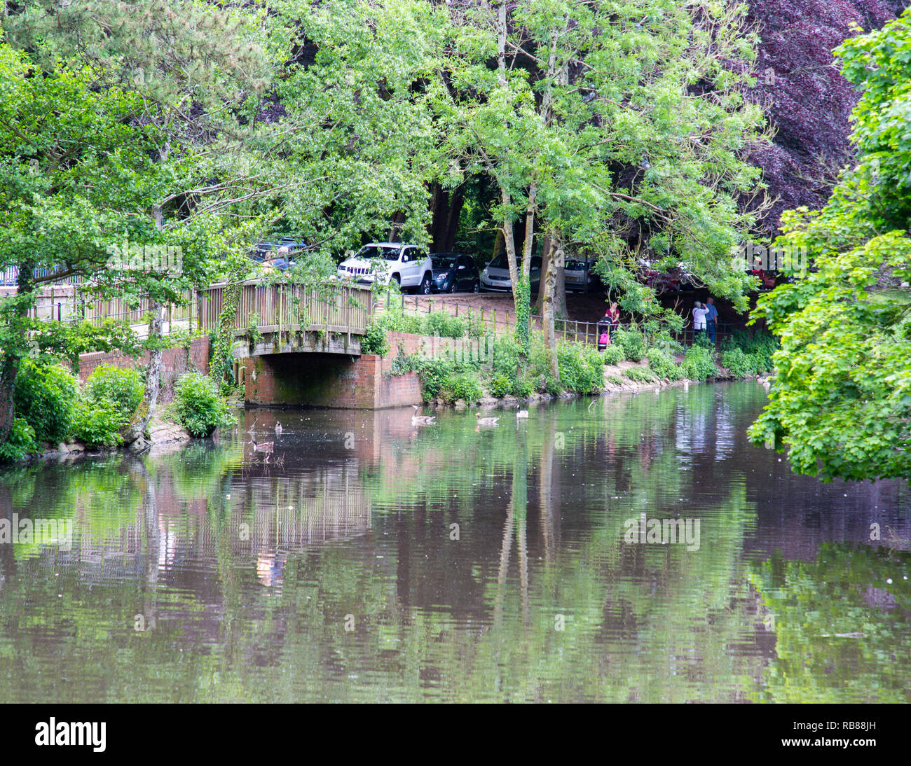 Bridge in Roath Park, Cardiff Stock Photo - Alamy