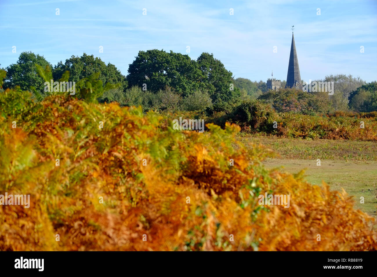 Autumn colours in Chailey Common Nature Reserve, East Sussex, UK Stock ...