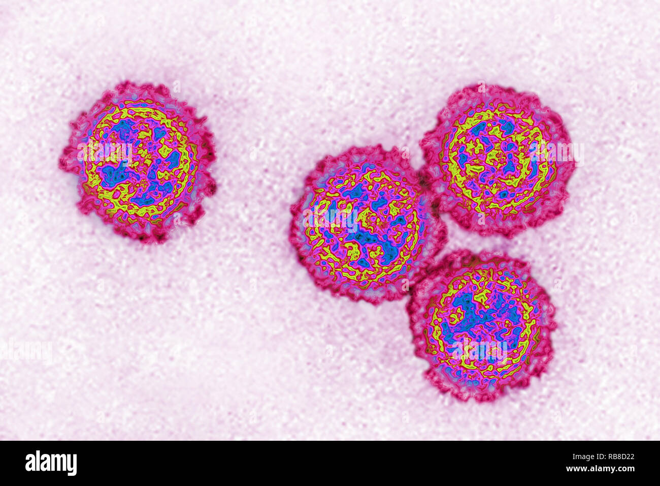 Influenza Virus Microscope High Resolution Stock Photography and Images ...