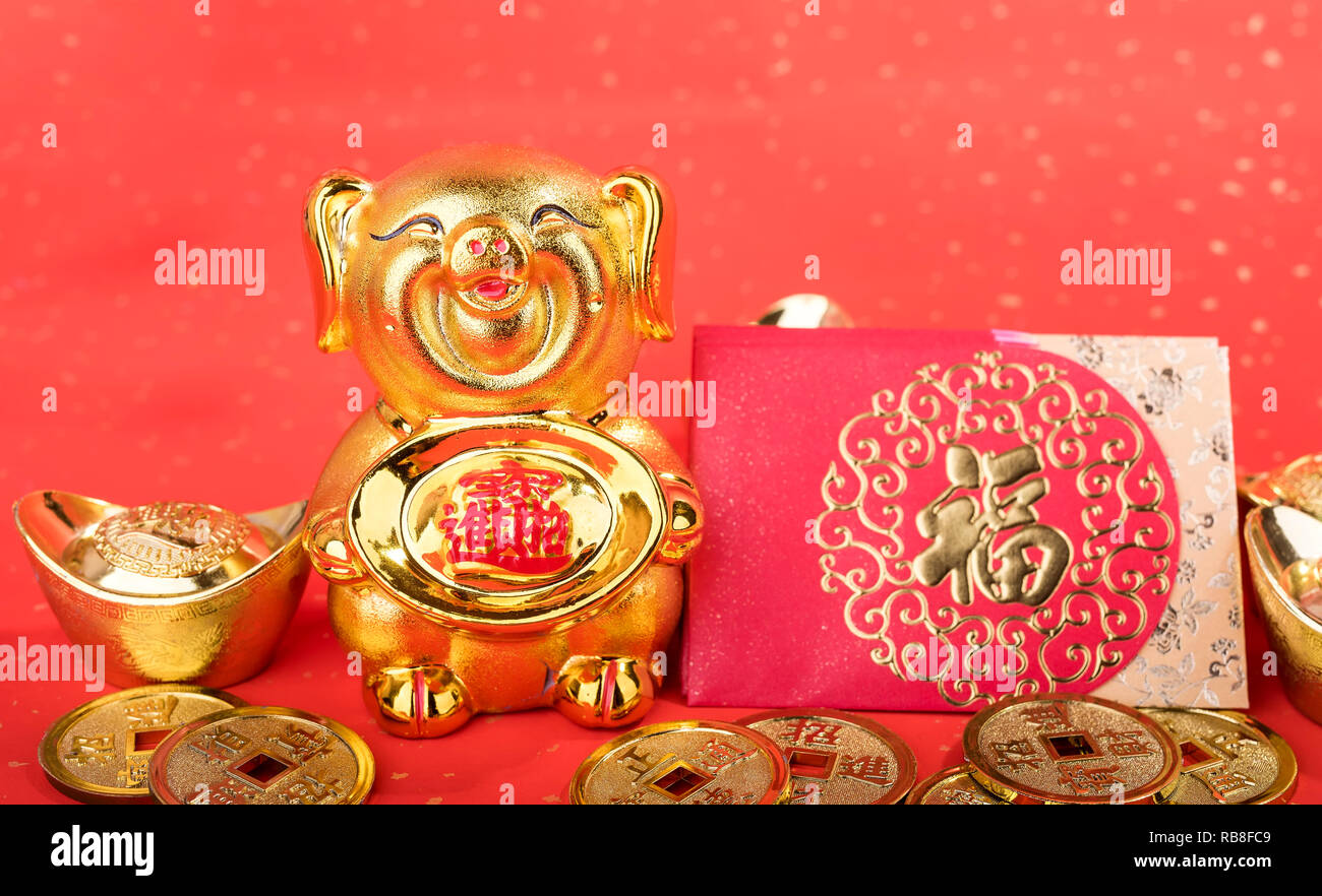2019 is year of the pig,Golden piggy bank,calligraphy on pig ...