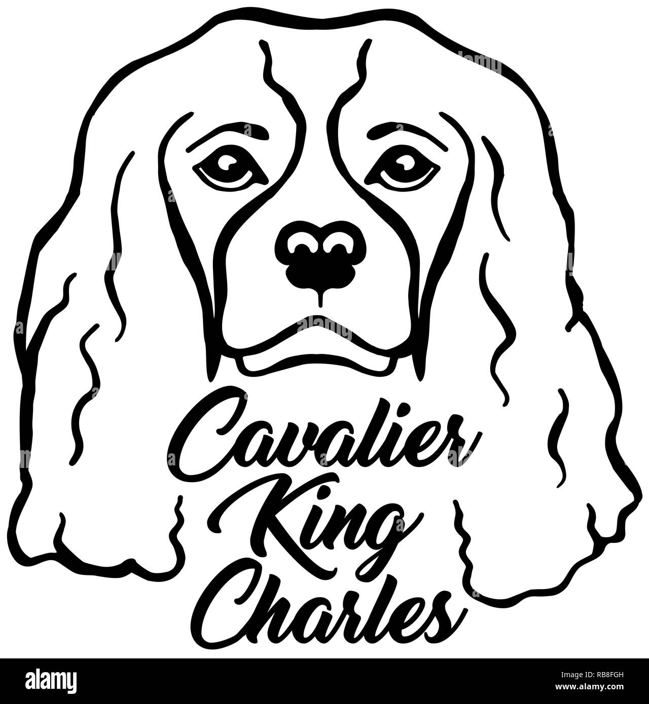 Cavalier King Charles head black with name Stock Photo - Alamy