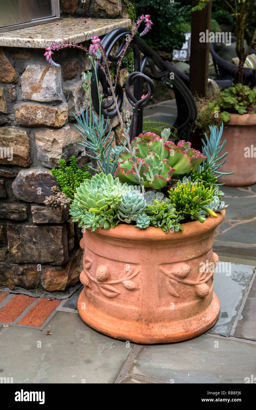Planting Succulents High Resolution Stock Photography and Images - Alamy
