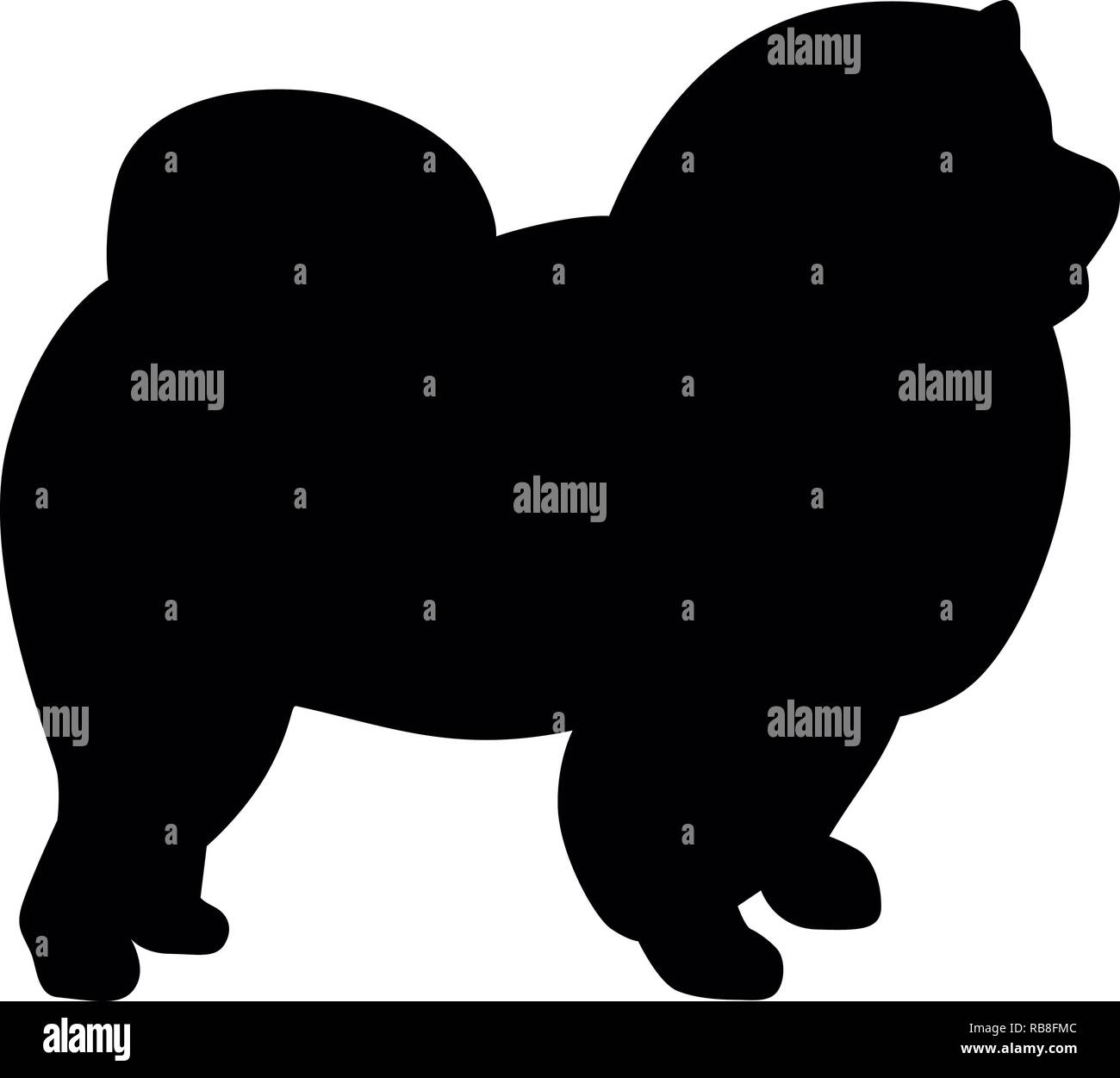 Chow-chow silhouette real in black Stock Photo - Alamy