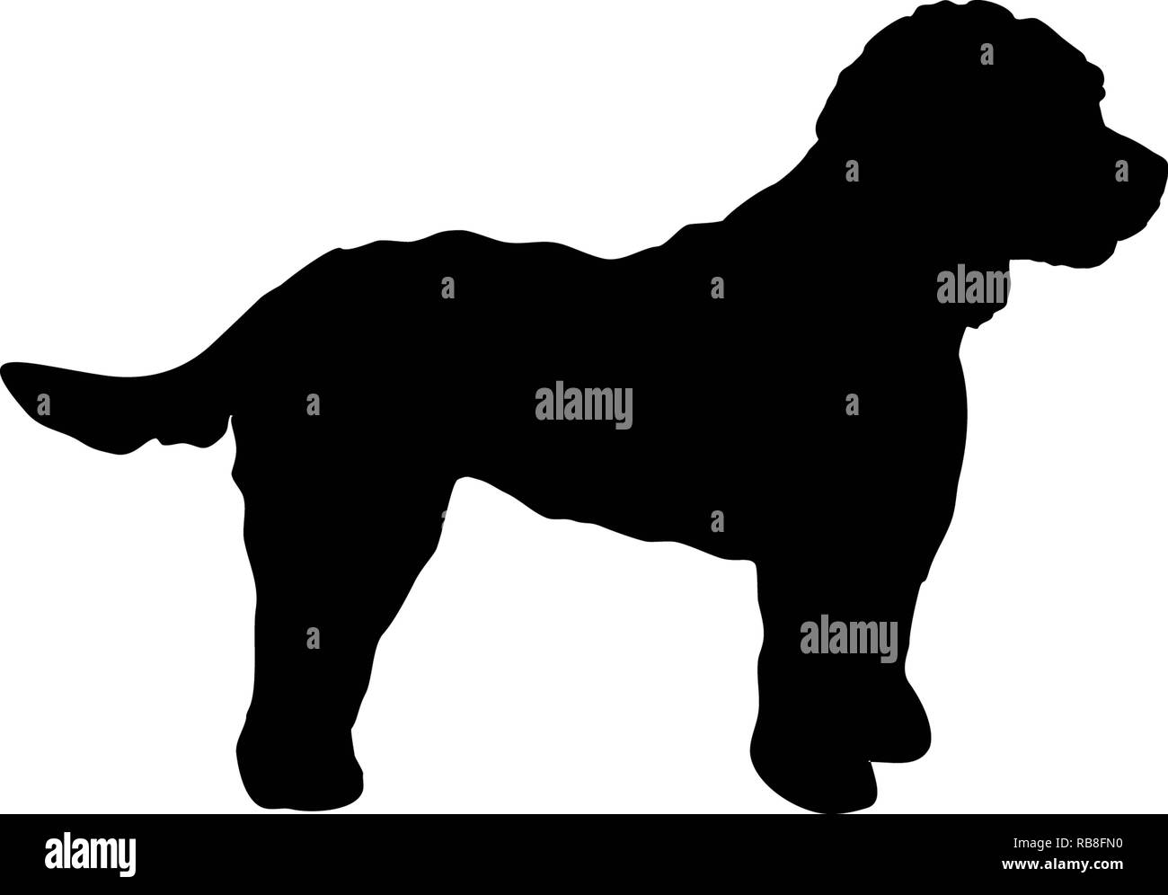 Cockapoo silhouette real in black Stock Photo - Alamy